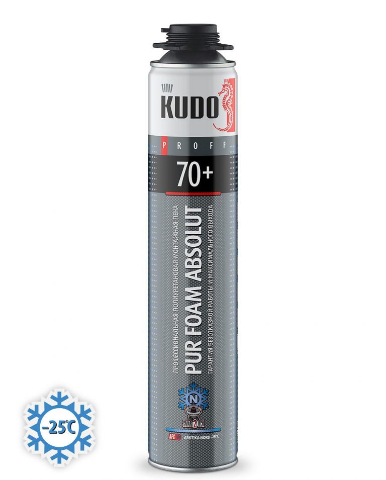 Professional all seasons PU foam sealant HOME 65 KUDO